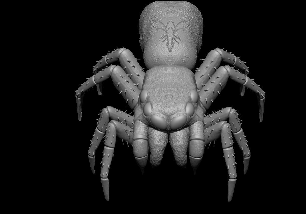 Spider 3D model | CGTrader