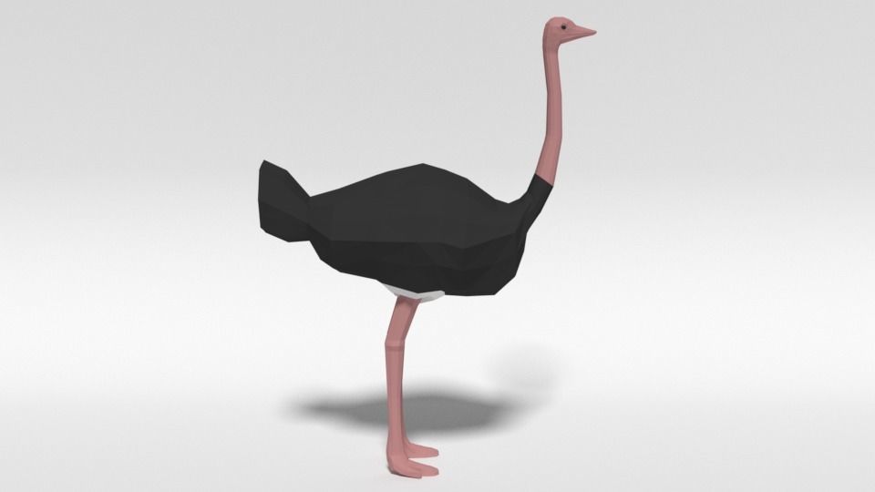 3D model Low Poly Cartoon Ostrich VR / AR / low-poly | CGTrader