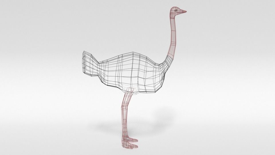 3D model Low Poly Cartoon Ostrich VR / AR / low-poly | CGTrader