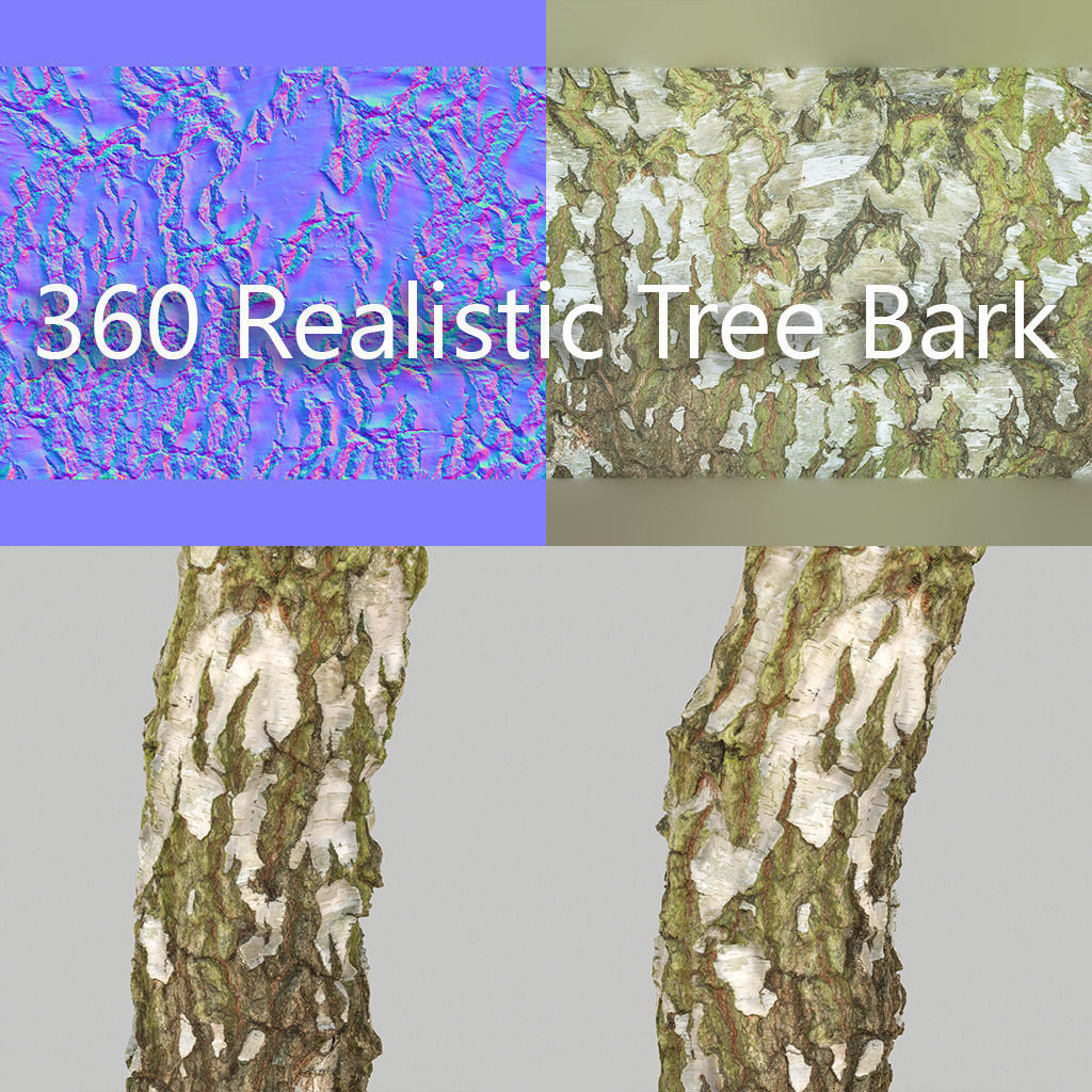 3D model 360 Tree Bark 4 VR / AR / low-poly | CGTrader