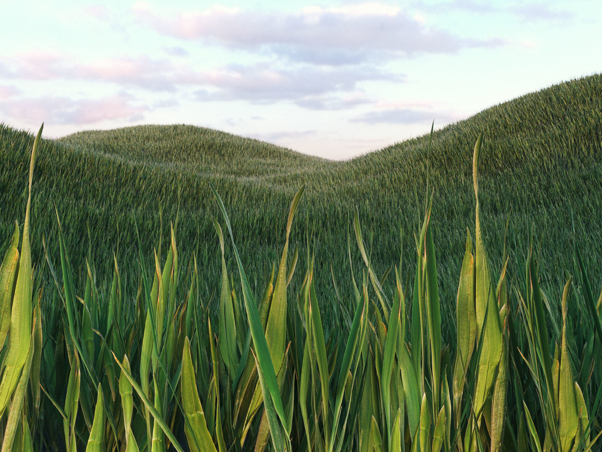 3D model Grass Low Poly 1 VR / AR / low-poly | CGTrader