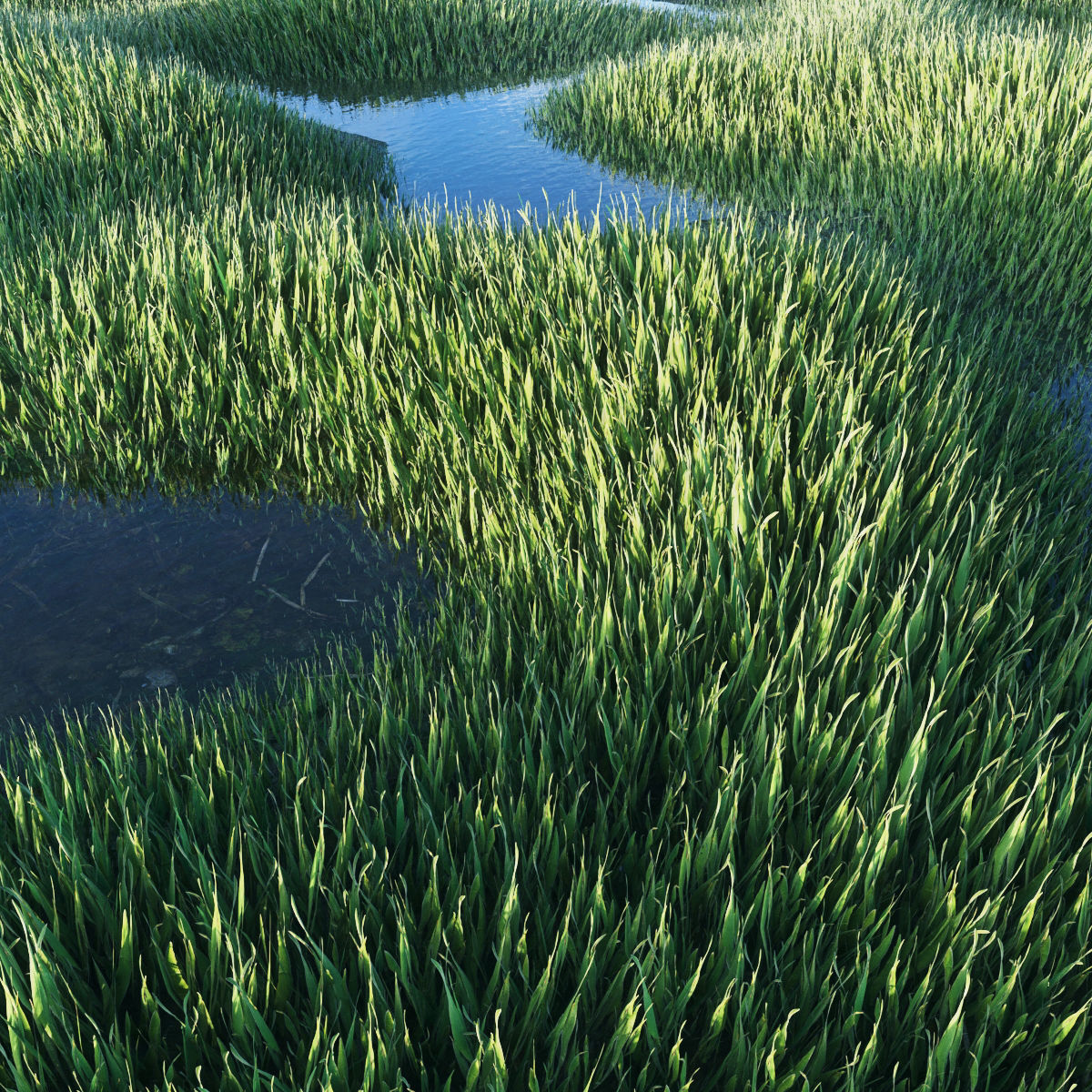 3D model Grass Low Poly 1 VR / AR / low-poly | CGTrader