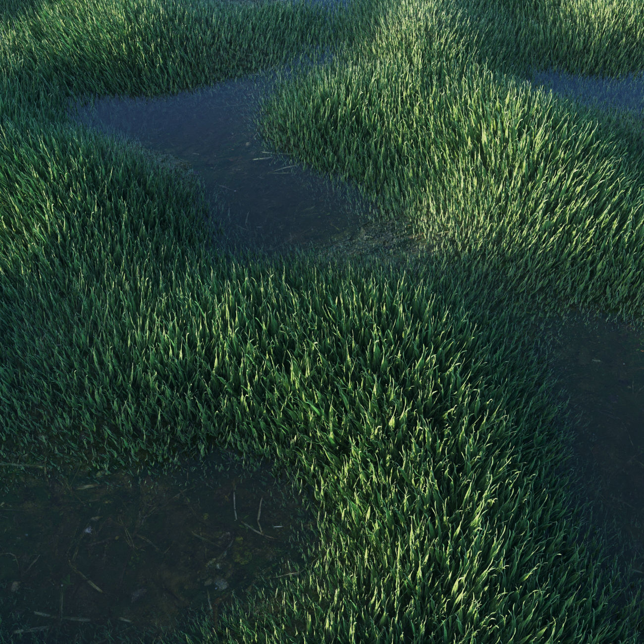 3D model Grass Low Poly 2 VR / AR / low-poly | CGTrader
