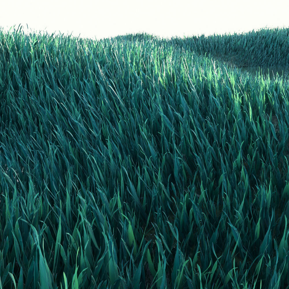 3D model Grass Low Poly 4 VR / AR / low-poly | CGTrader