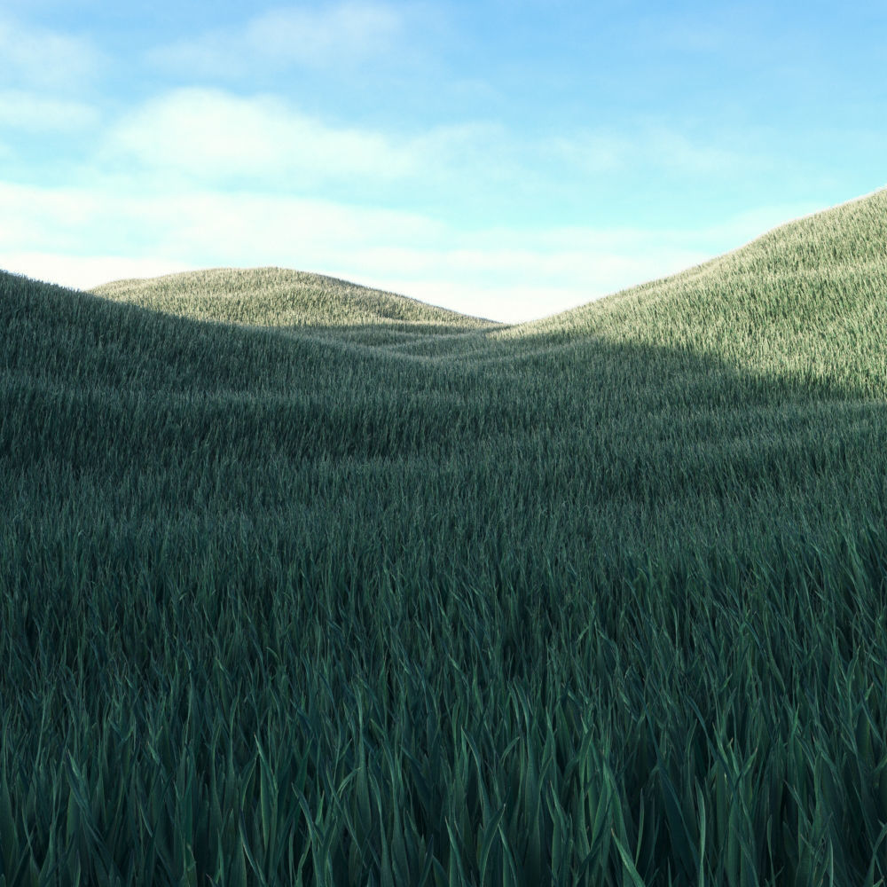 Grass Low Poly 4 3D asset | CGTrader
