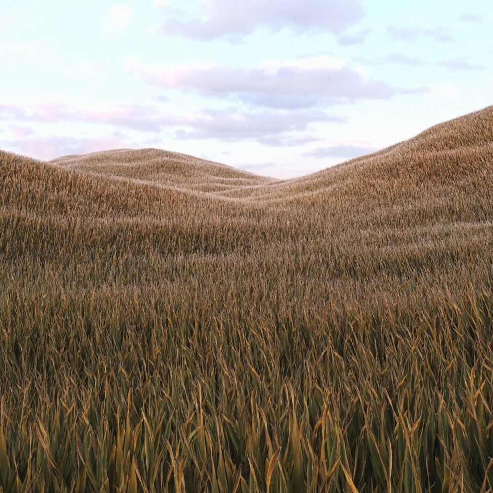 3D model Grass Low Poly 5 VR / AR / low-poly | CGTrader