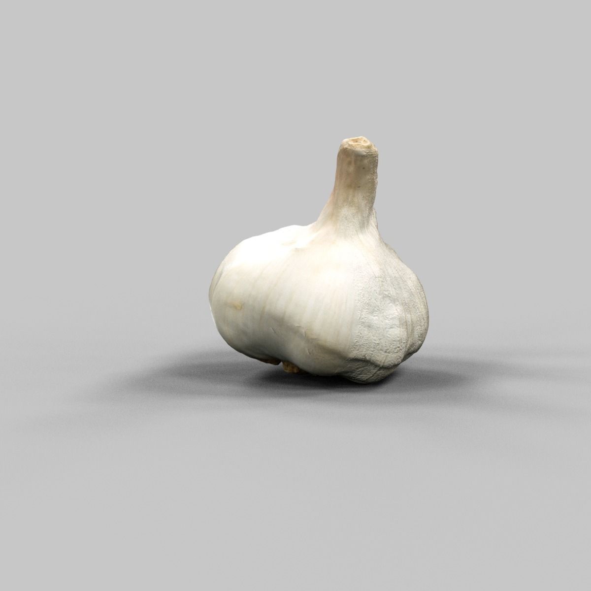 3D model salad Garlic | CGTrader
