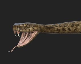 Low-poly Snake 3D Models | CGTrader