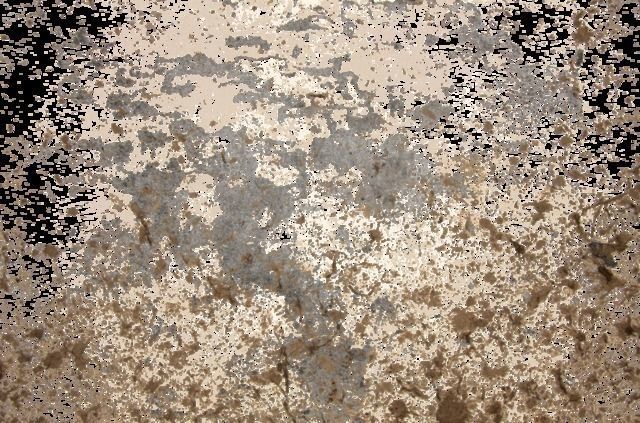 Environment Texture free 3D model rigged | CGTrader