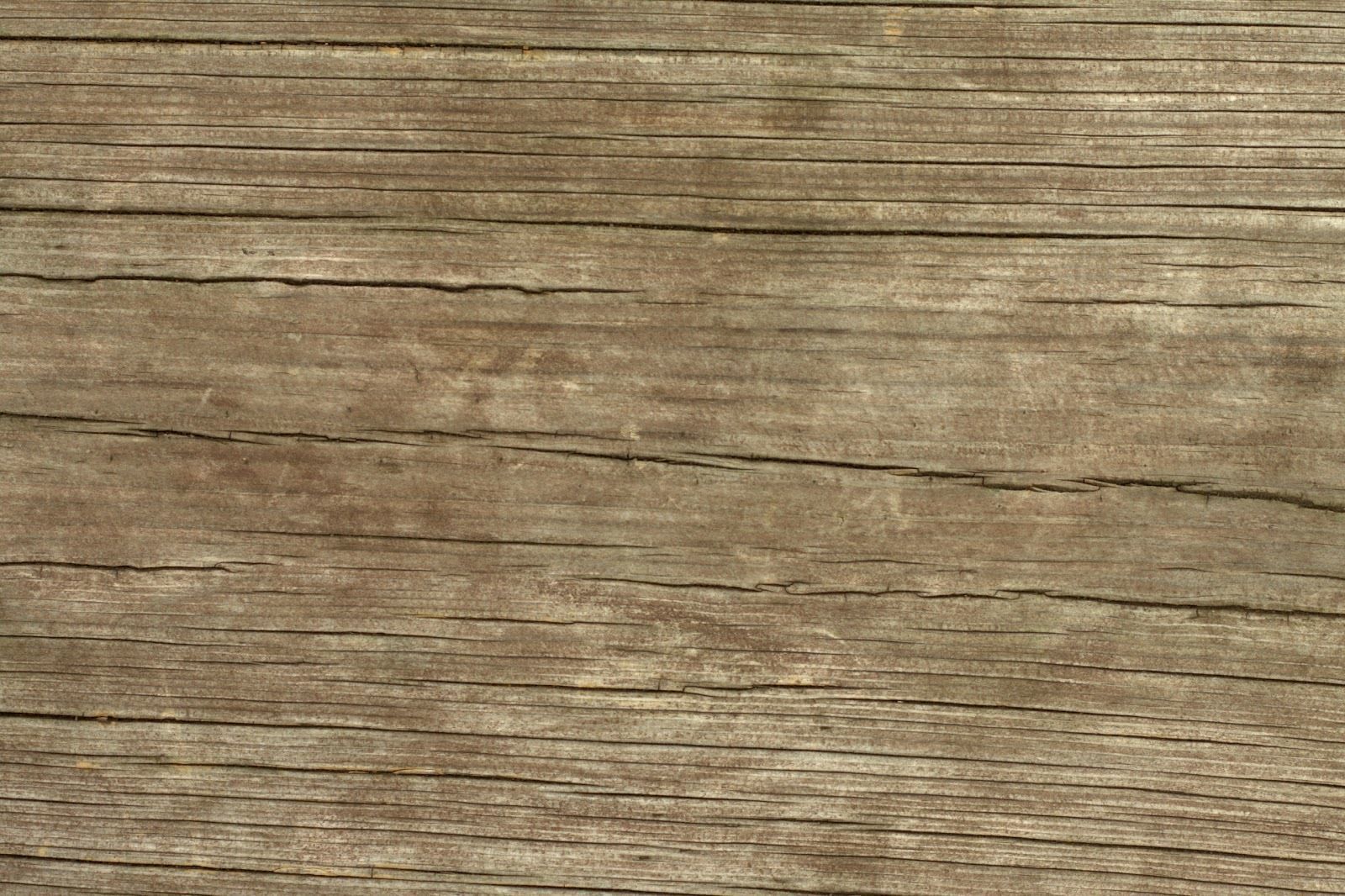 Textures free 3D model rigged | CGTrader