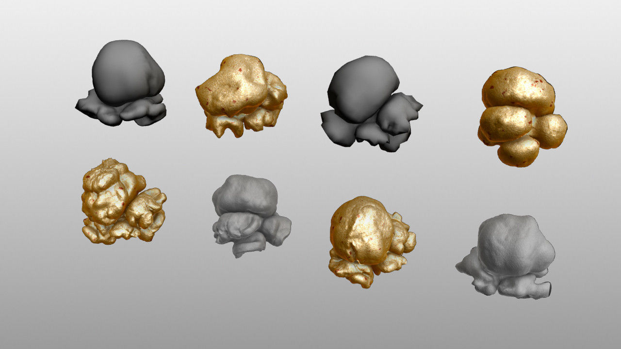 Popcorn Kernels 3D model | CGTrader