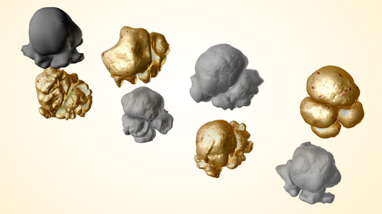 Popcorn Kernels 3D model | CGTrader