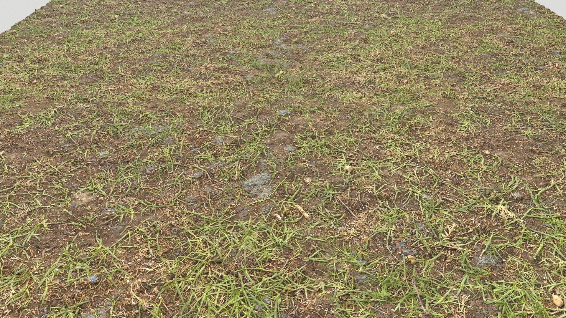 Forest ground PBR Pack 8 Texture | CGTrader