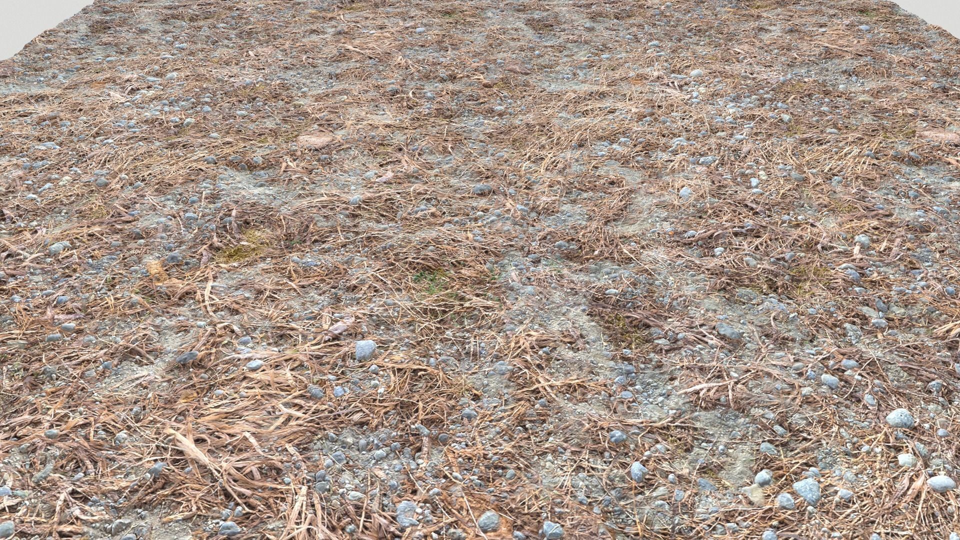 Forest ground PBR Pack 8 Texture | CGTrader
