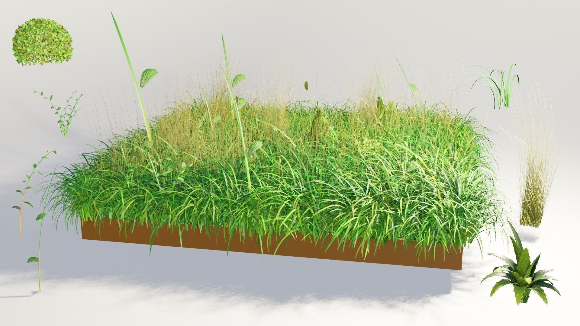 Blender Nature essentials pack 3D model | CGTrader