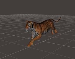 Tiger 3D Models | CGTrader