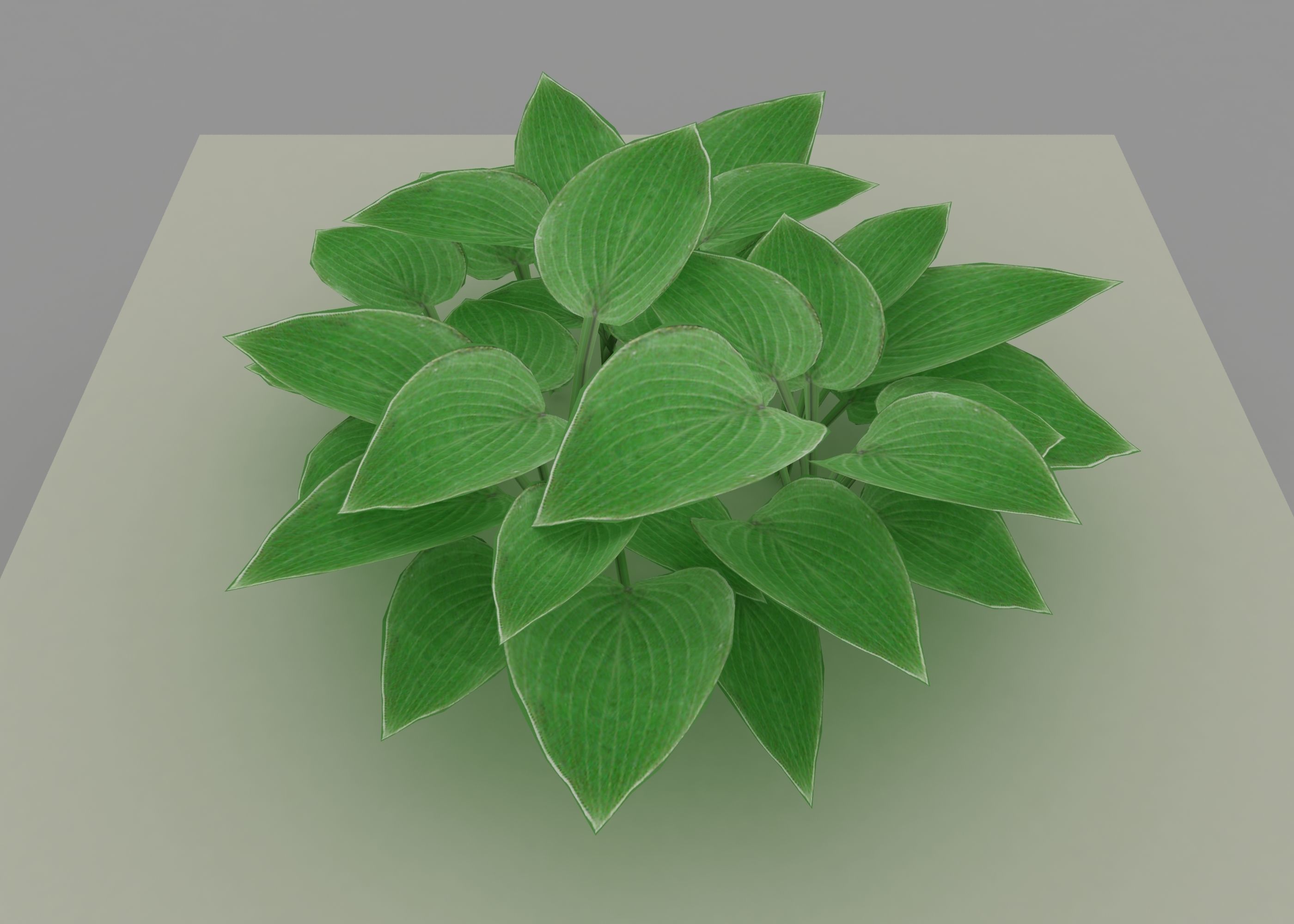 3D model leafs | CGTrader