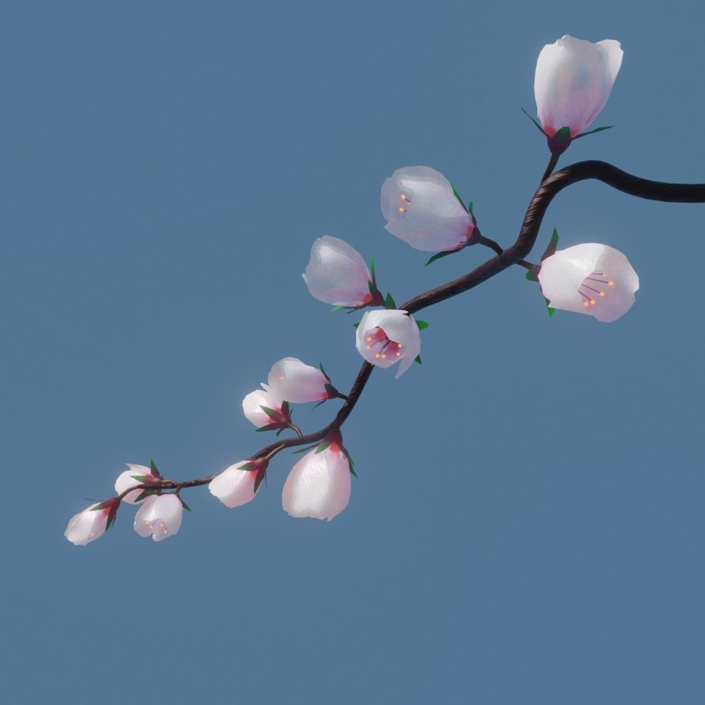 cherry blossom branch animation 3D model animated rigged | CGTrader