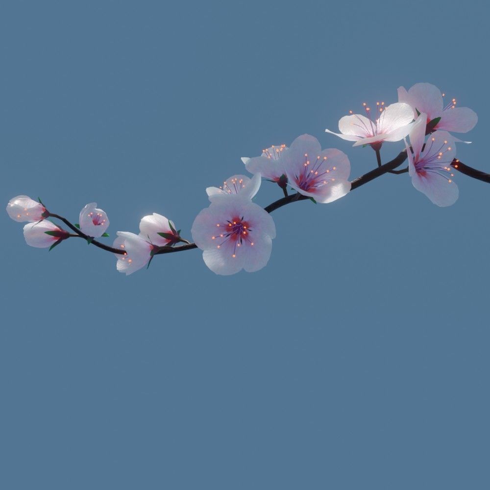 cherry blossom branch animation 3D model animated rigged | CGTrader