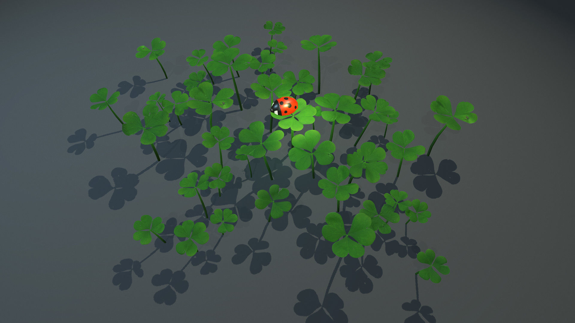 3D model Clover with ladybug VR / AR / low-poly | CGTrader