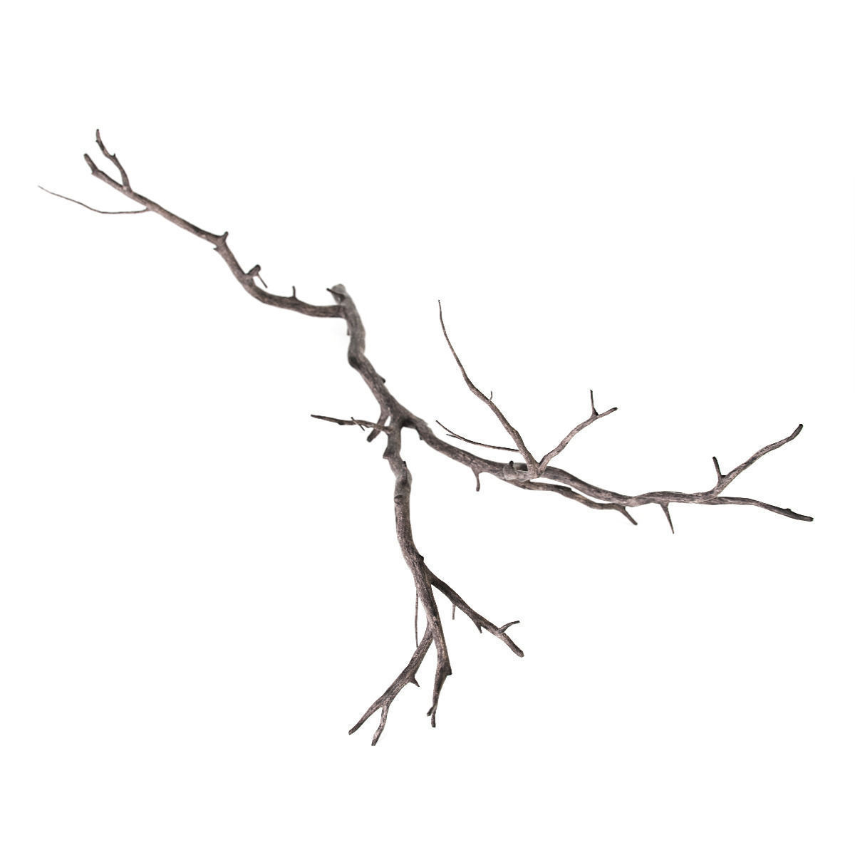 Branch 3D model | CGTrader