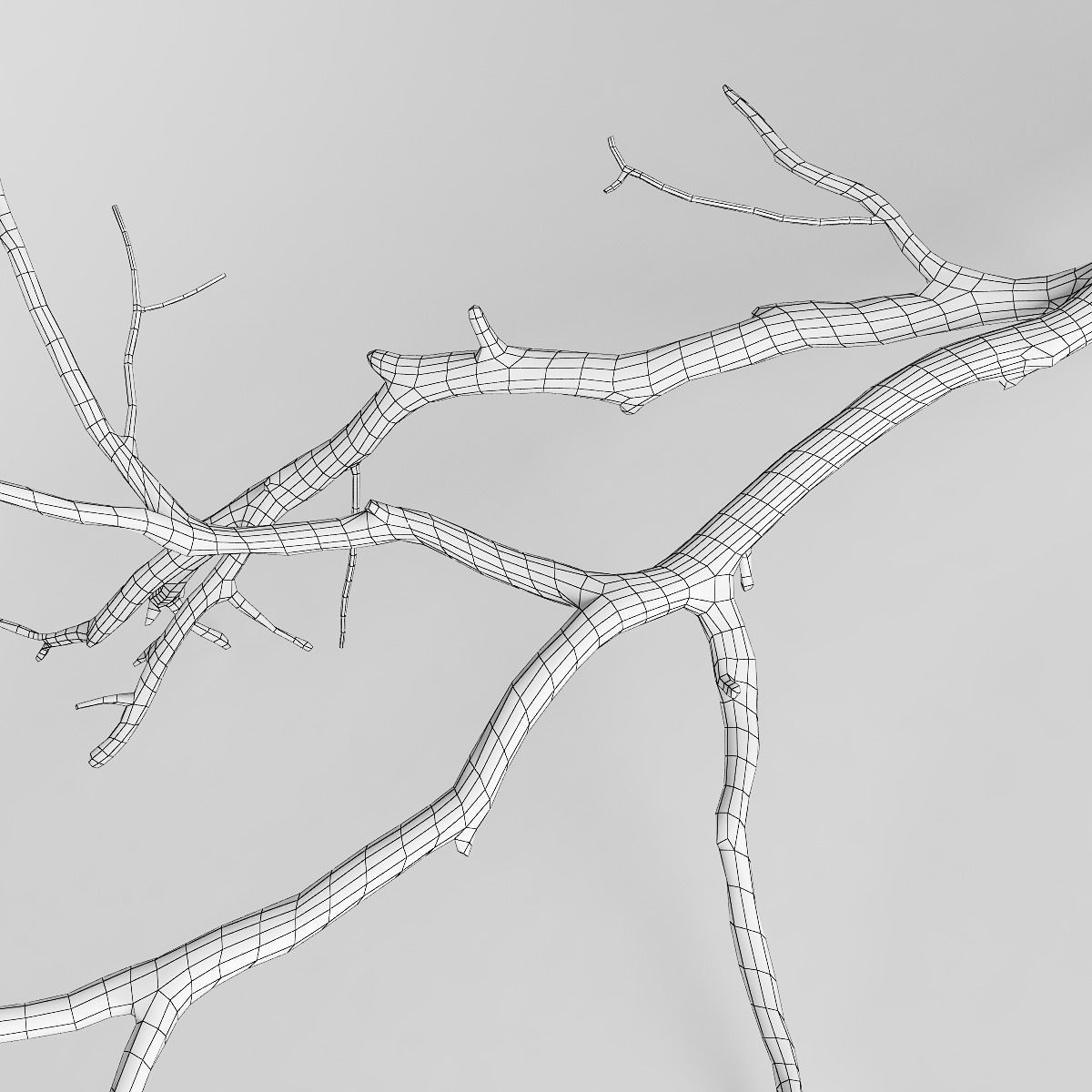 Branch 3D model | CGTrader
