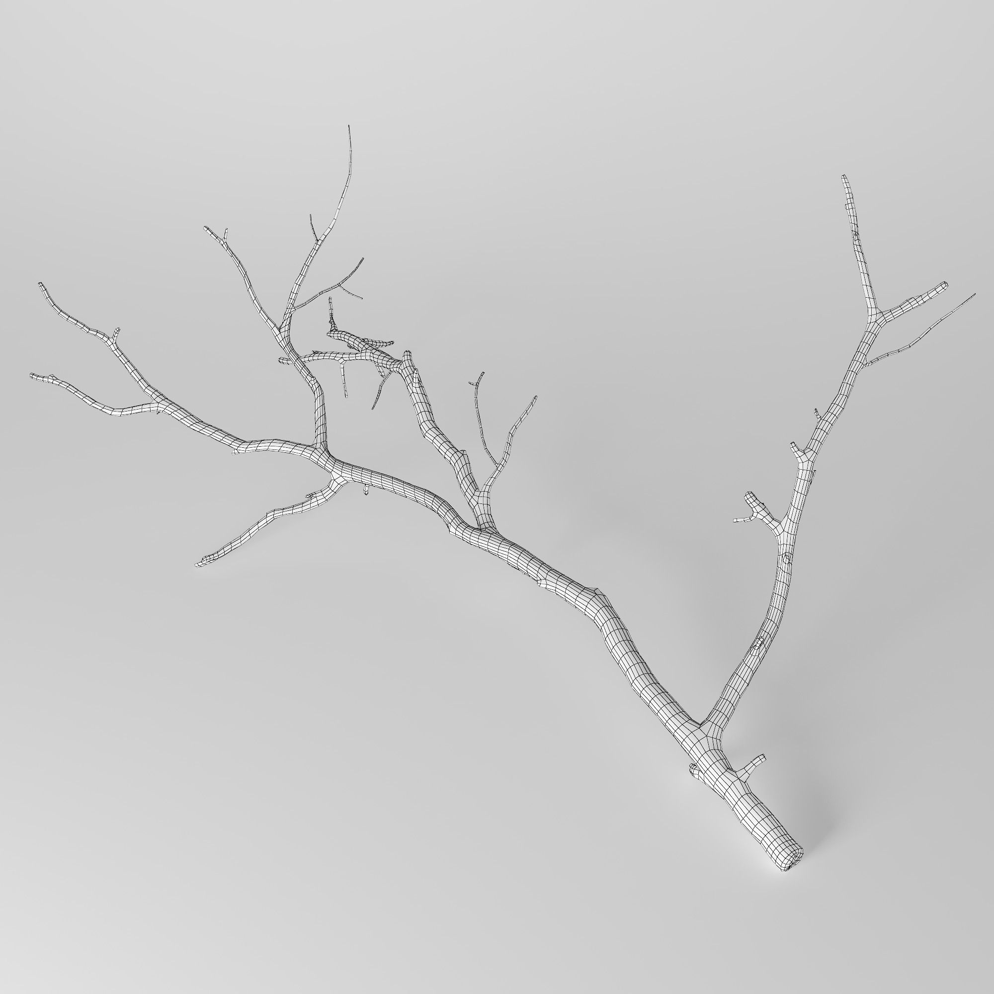 Branch 3D model | CGTrader