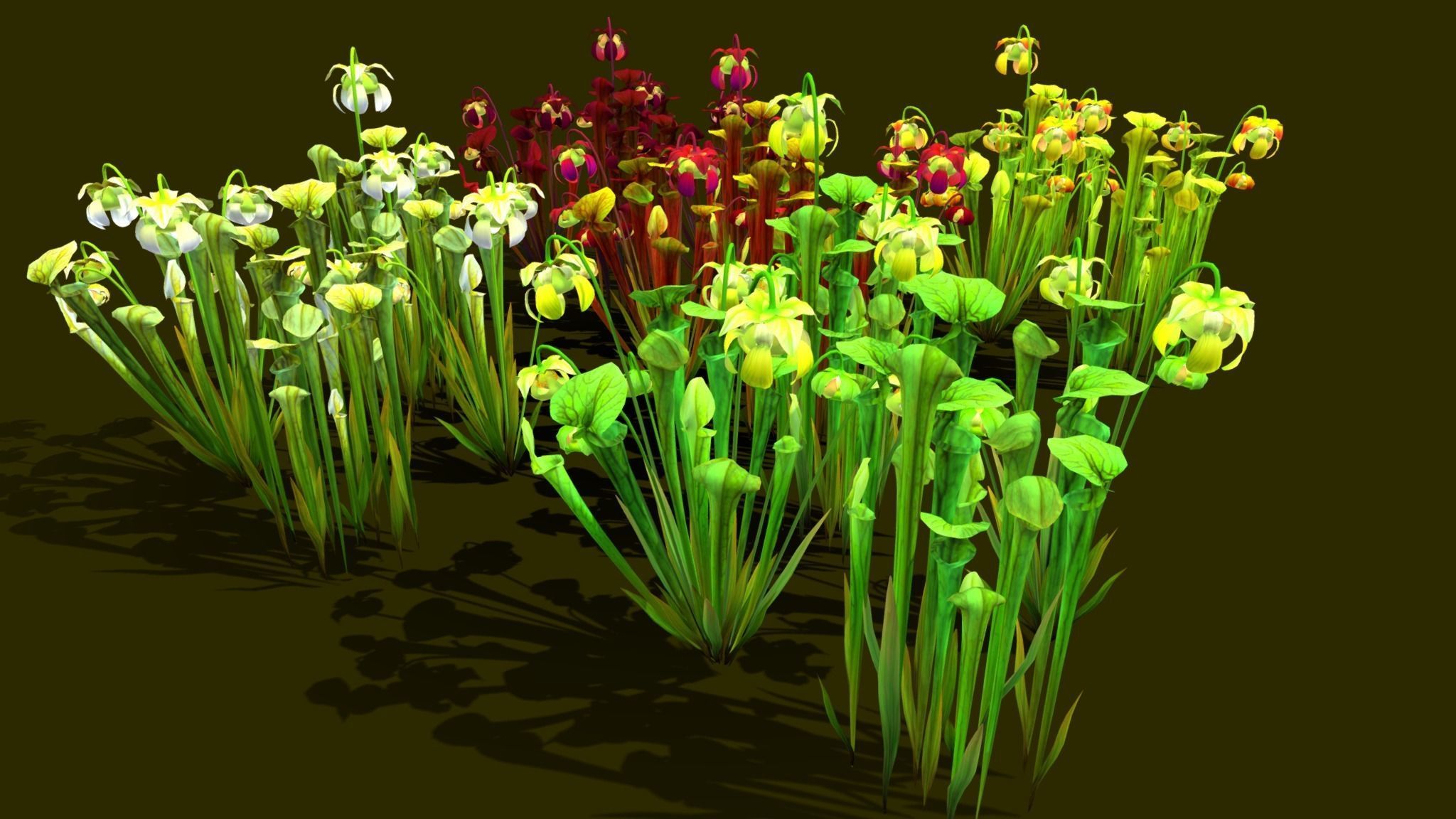 Flower Green Pitcher 3D model | CGTrader