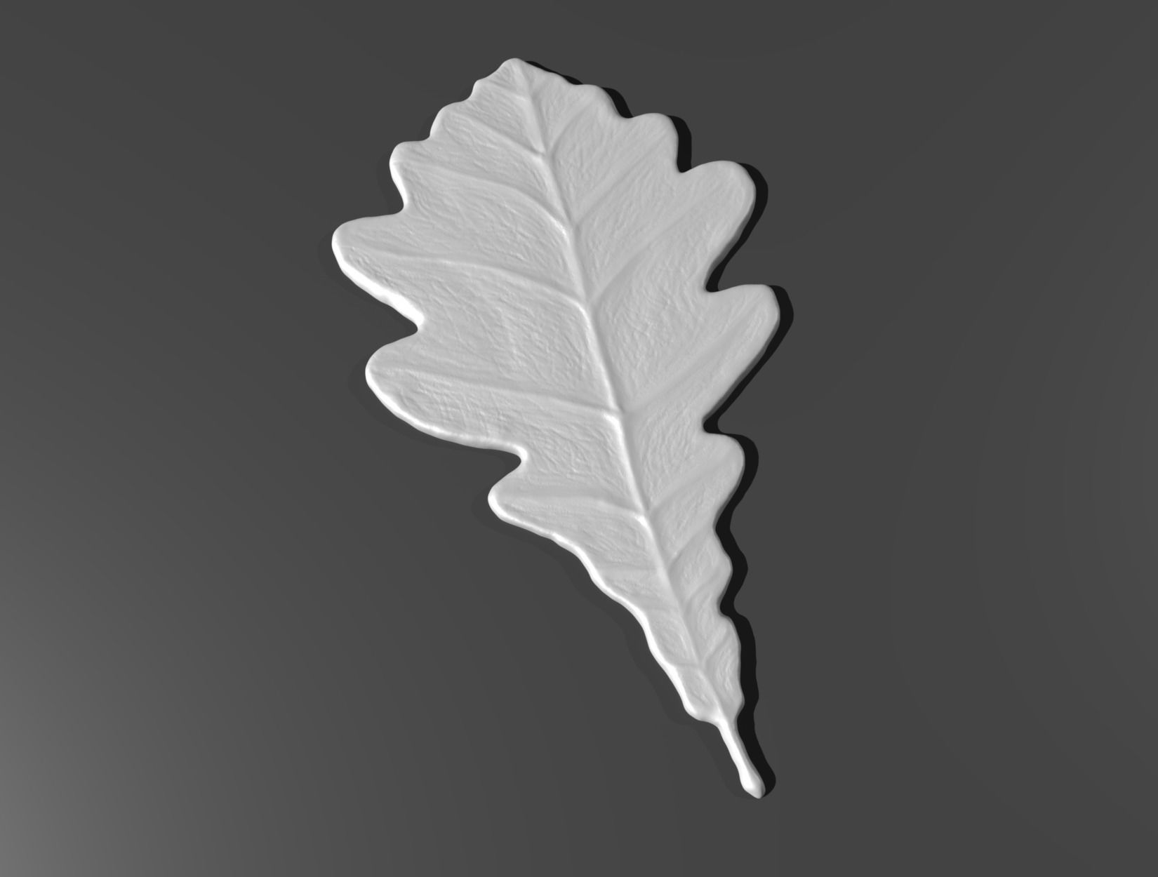 OAK LEAF 3D model 3D printable | CGTrader