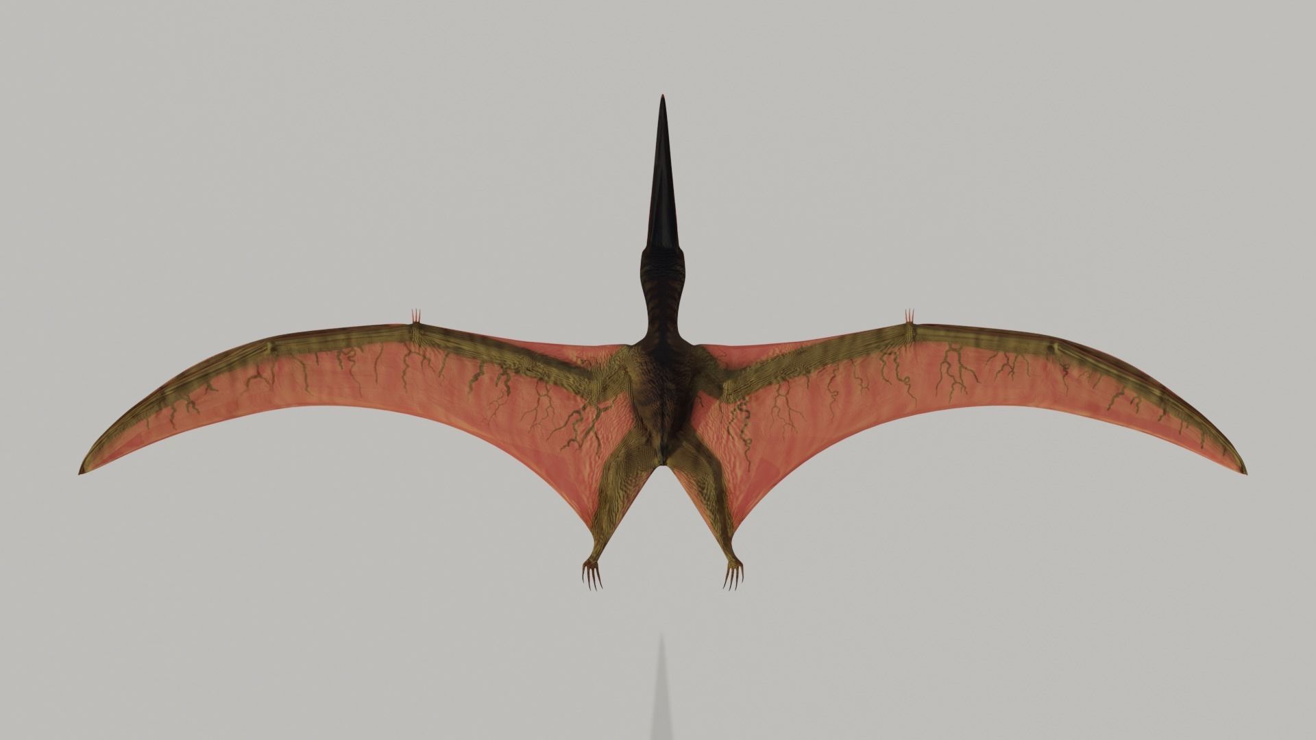 3D model Pterodactyl VR / AR / low-poly | CGTrader