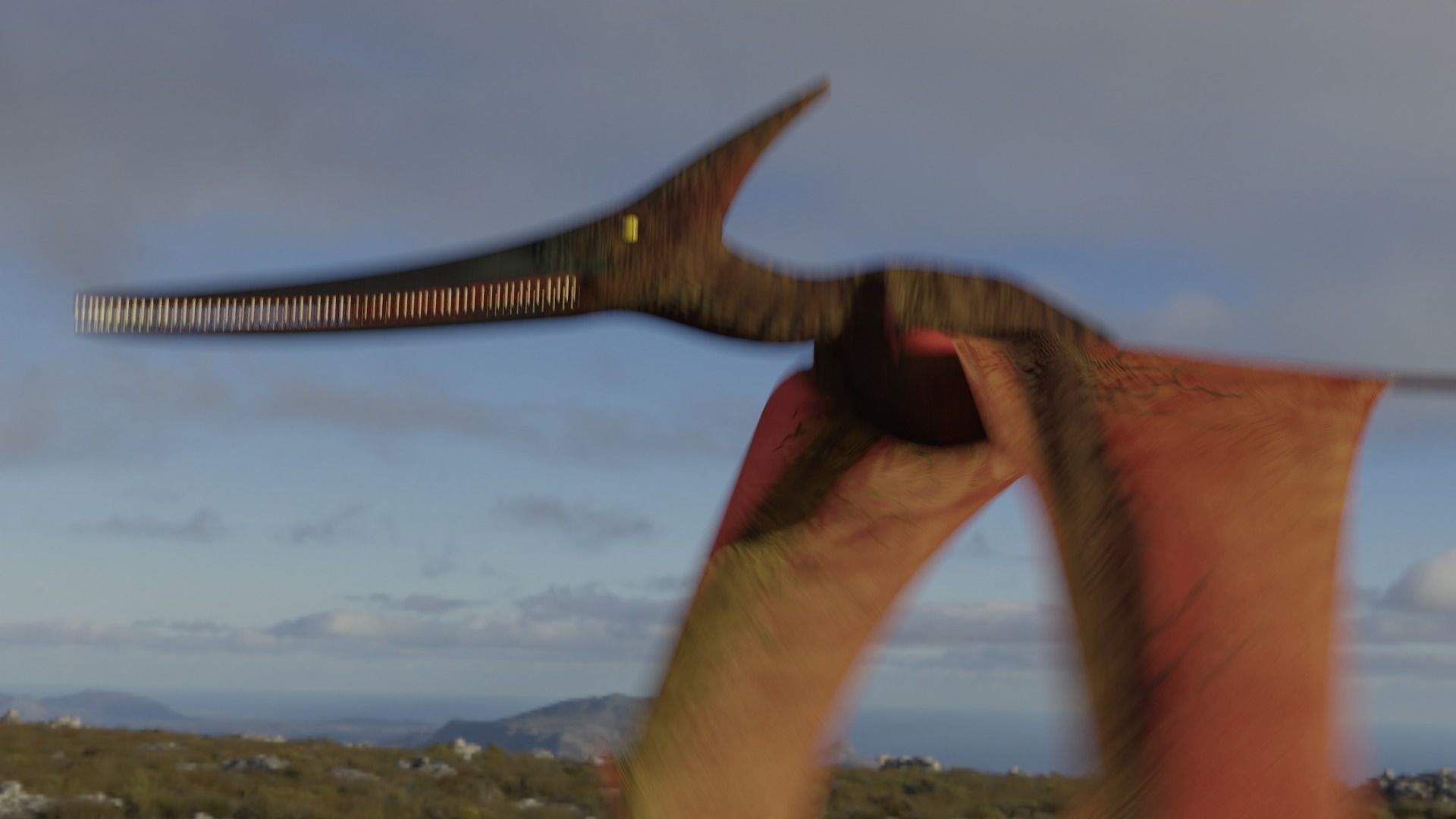 3D model Pterodactyl VR / AR / low-poly | CGTrader