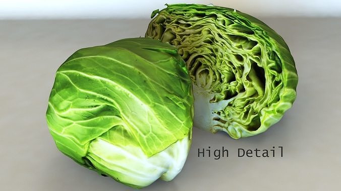 Cabbage high detail 3D model | CGTrader
