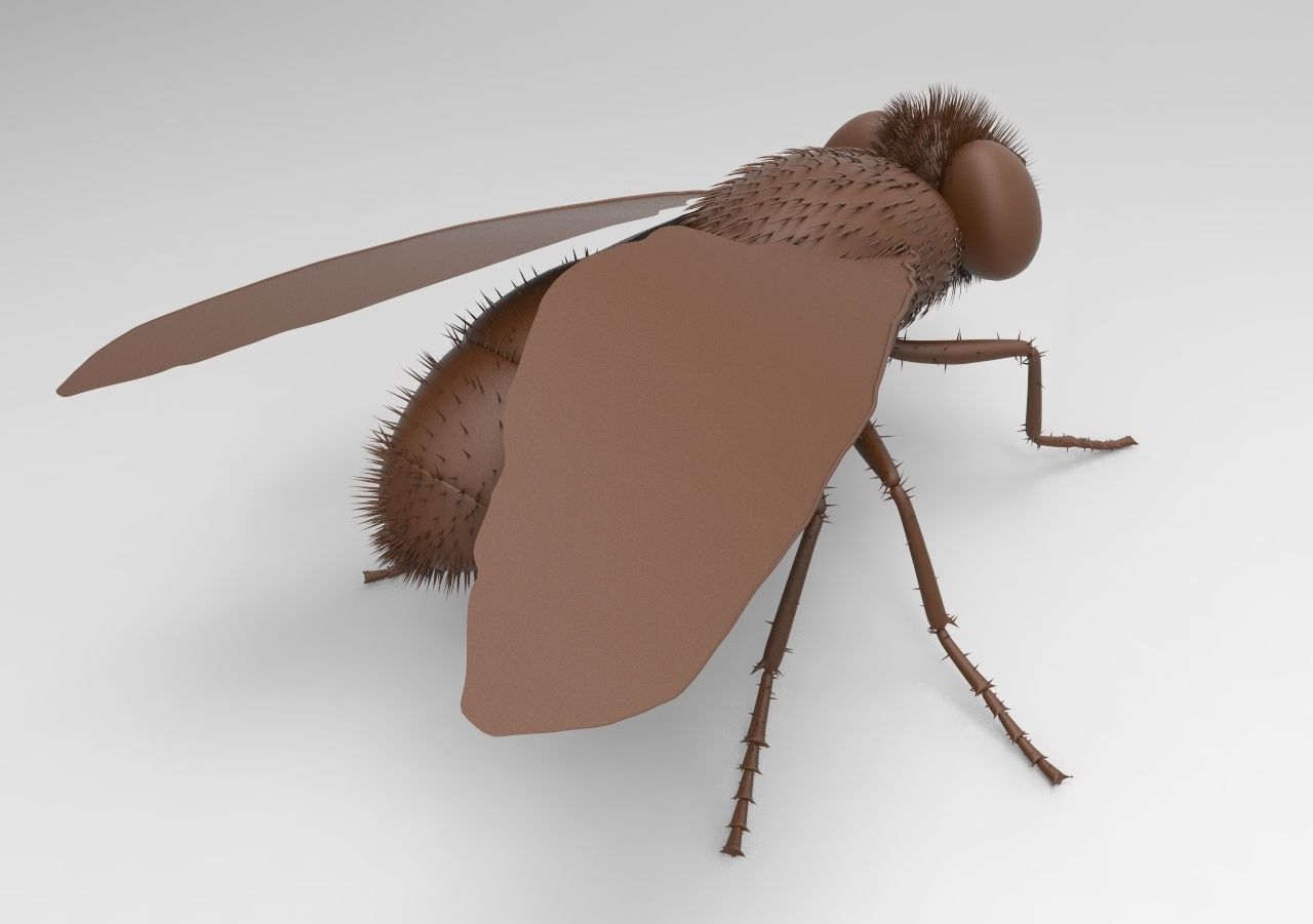 Fly-Fly 3D model 3D printable | CGTrader