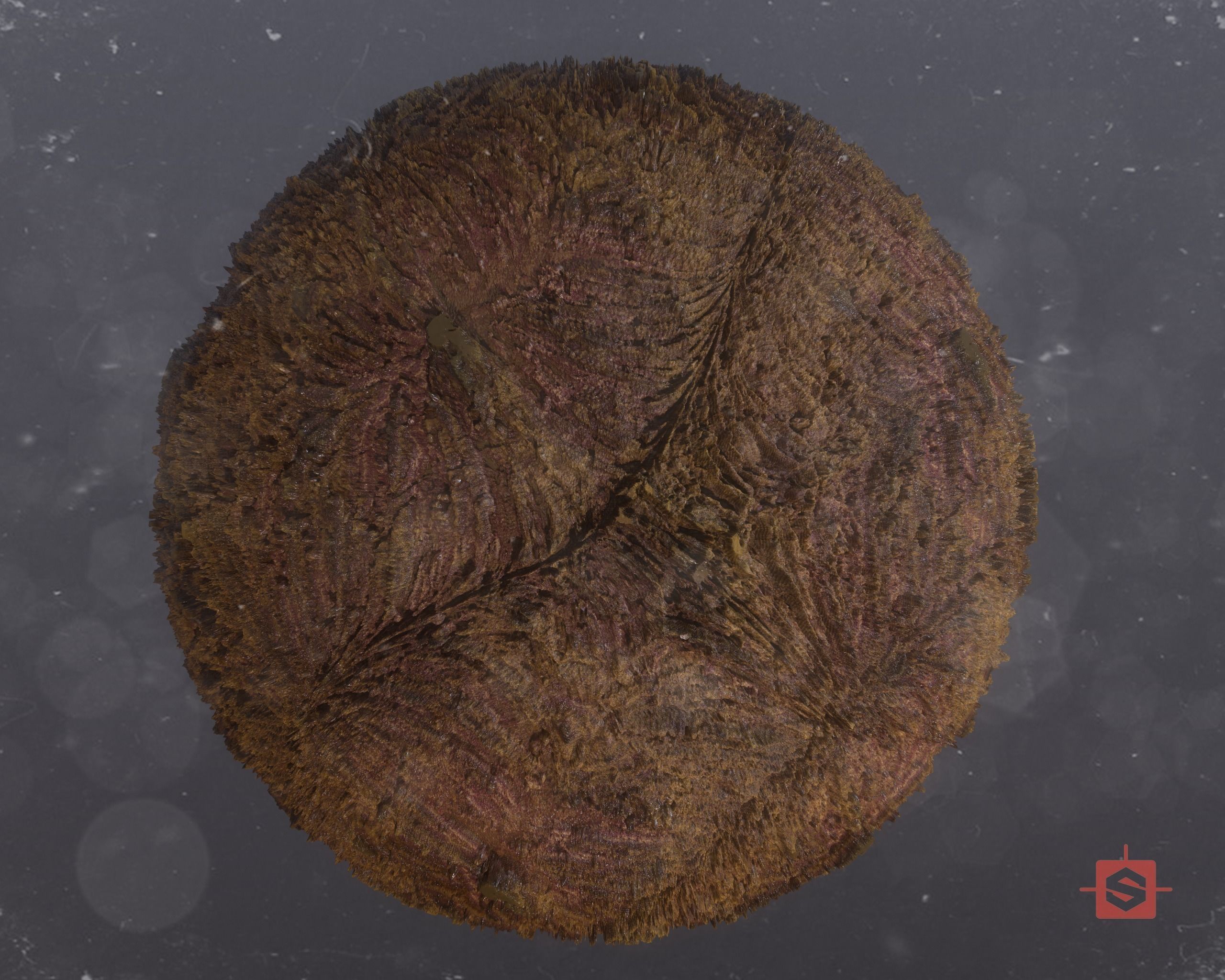 FREE PACK Materials - Future upgrades with more materials free Texture ...
