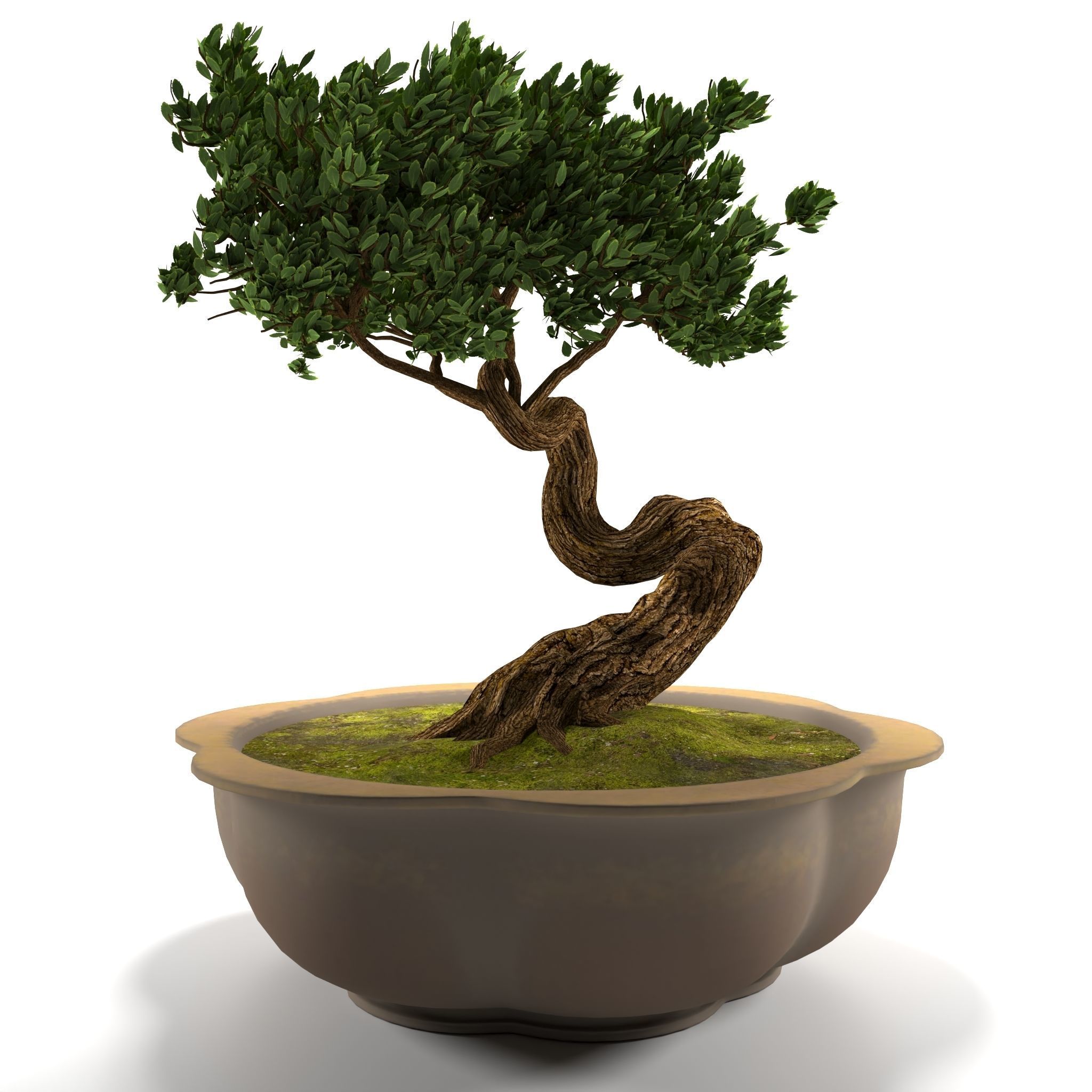 flower 3D Bonsai tree | CGTrader