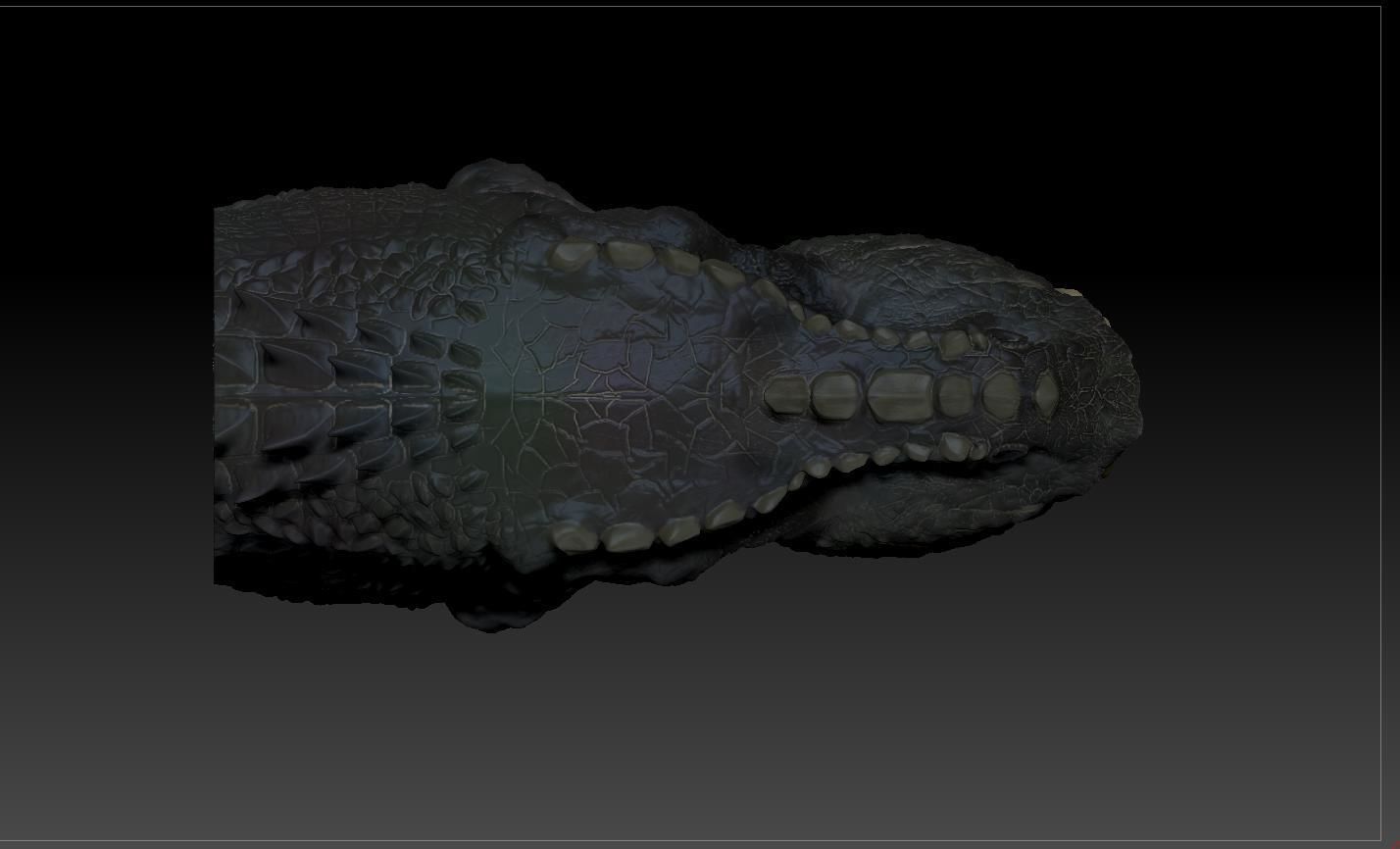 V Rex Head Sculpt Project 3D model | CGTrader