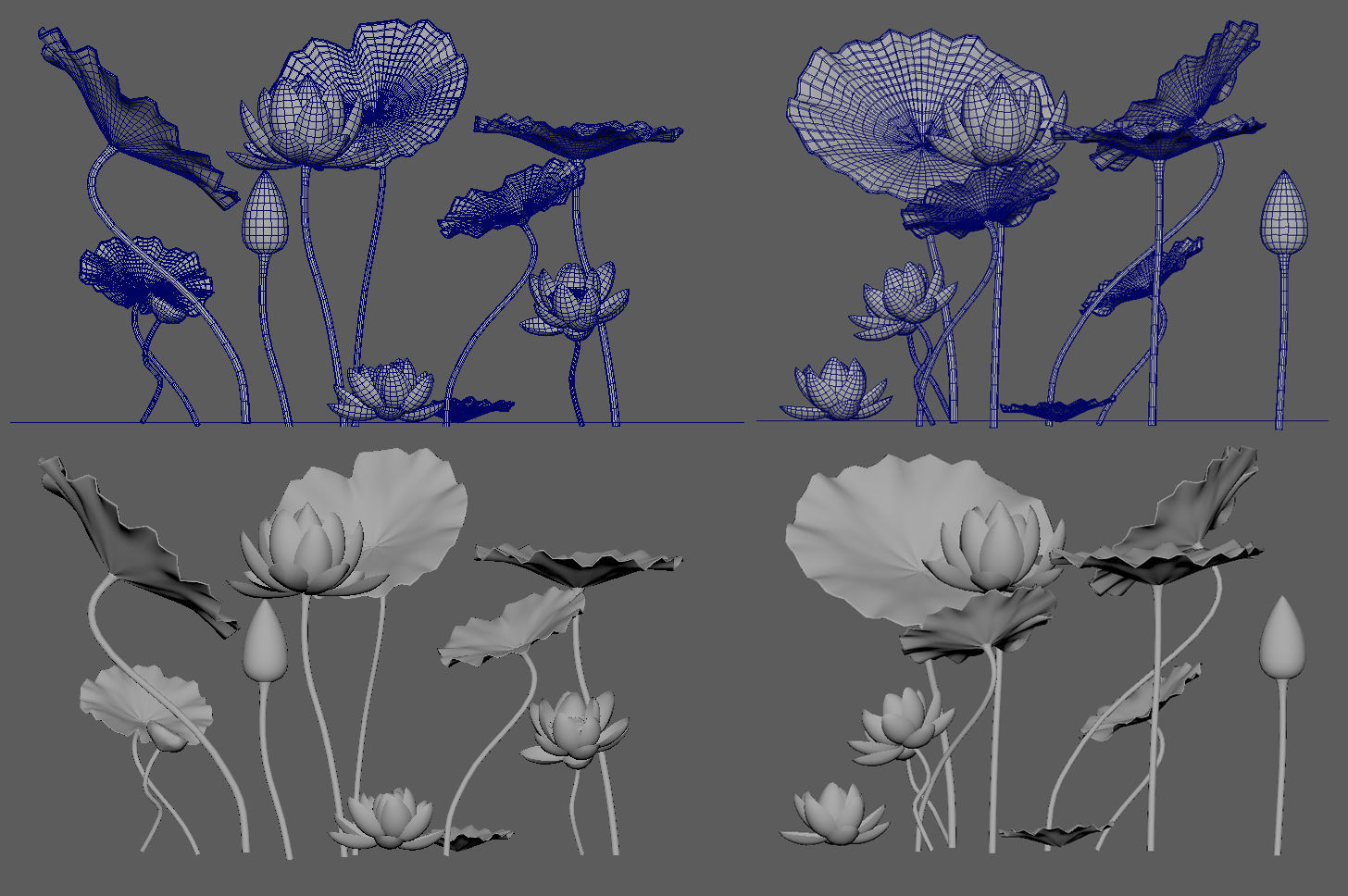 lotus flower 3D model | CGTrader