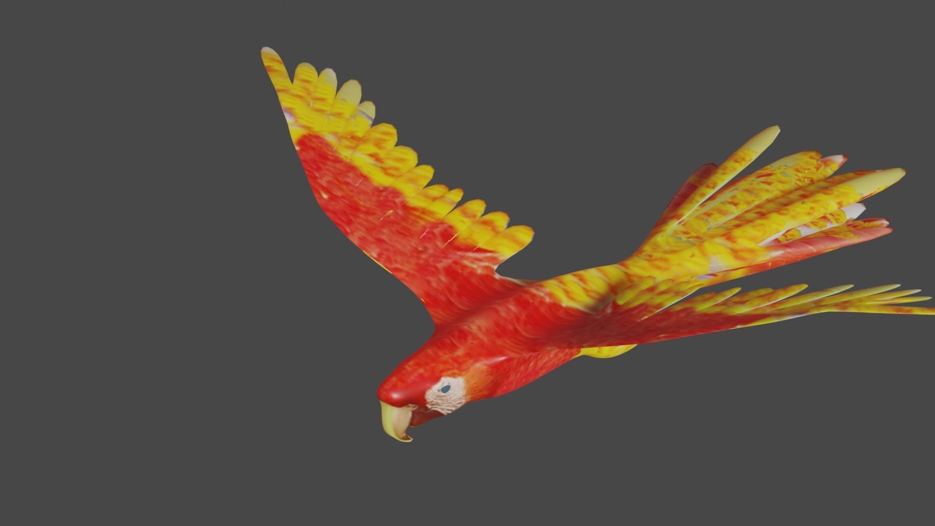 scarlet macaw 3D model | CGTrader