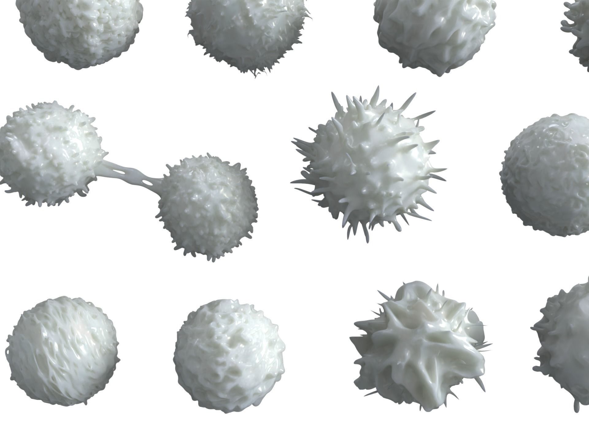 Lymphocytes Pack Bundle 3D model | CGTrader