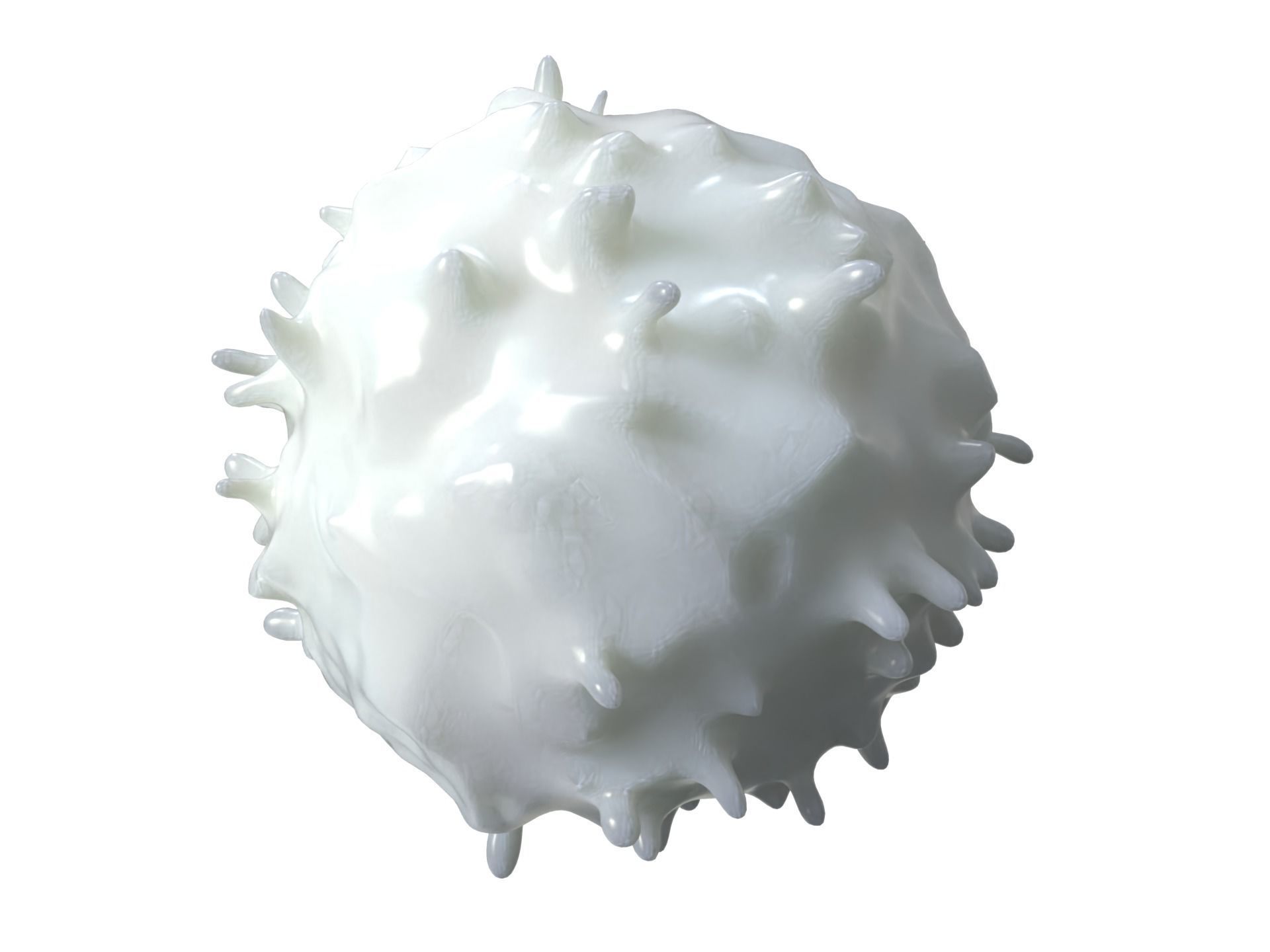 Lymphocytes Pack Bundle 3D model | CGTrader