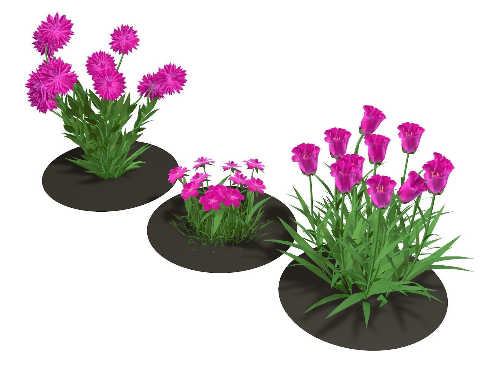 3 Pink FLOWERS 3D model | CGTrader