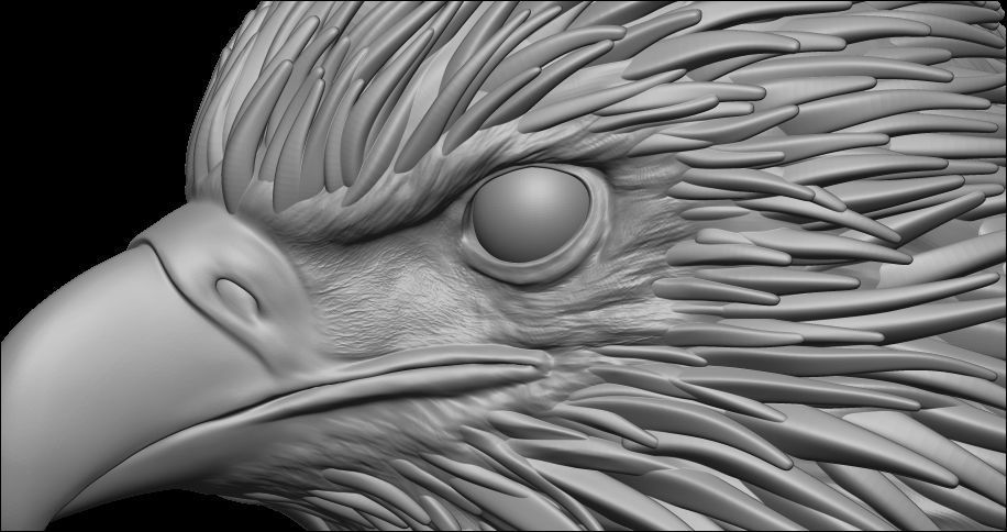eagle 3D model 3D printable | CGTrader