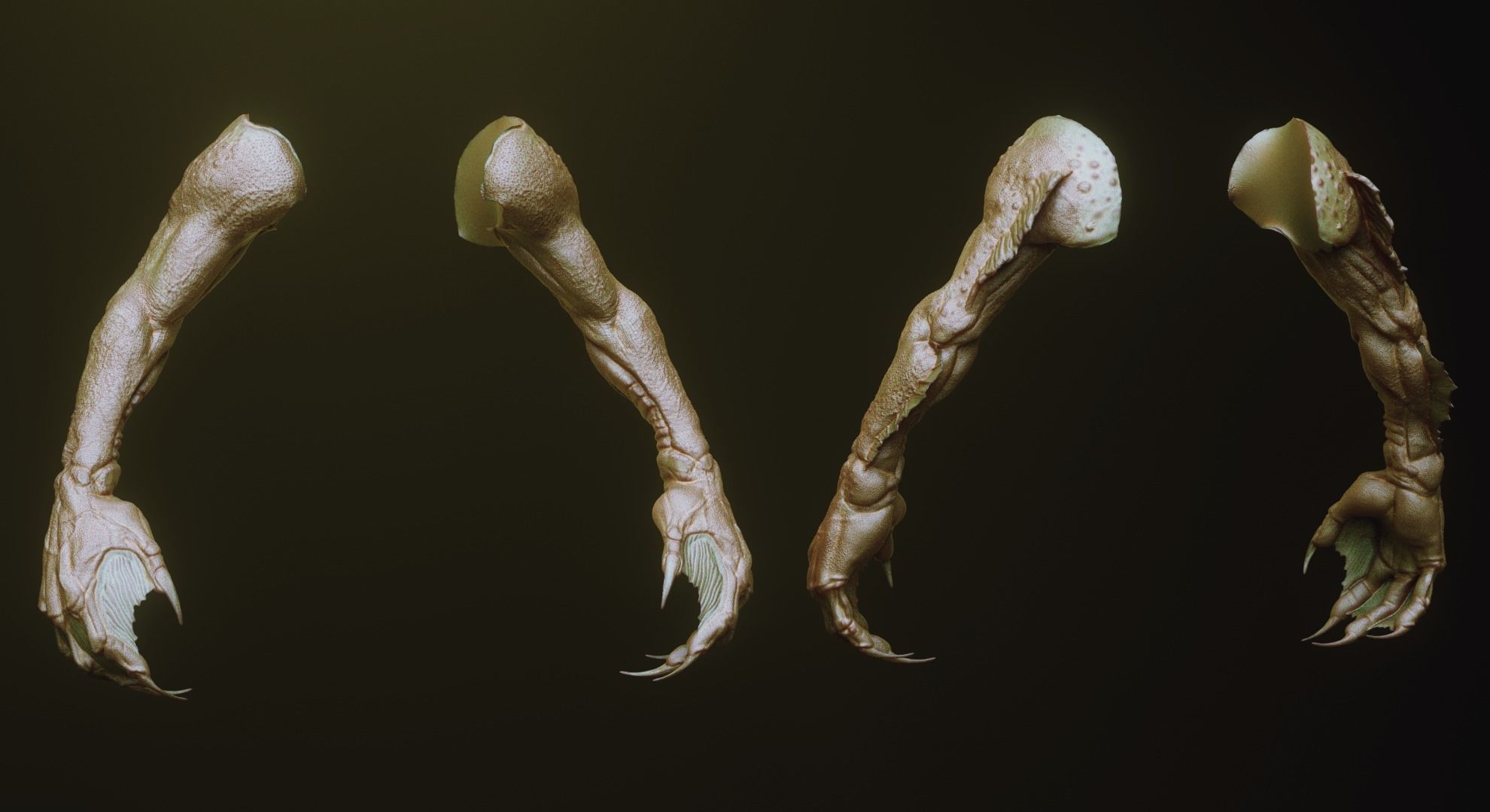 ARMS - 33 Creature arms OBJs and Zbrush IMM 3D model | CGTrader