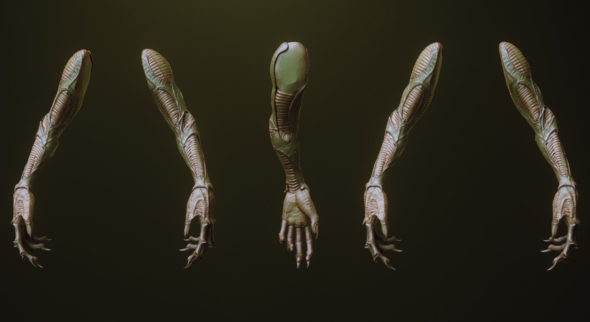 ARMS - 33 Creature arms OBJs and Zbrush IMM 3D model | CGTrader