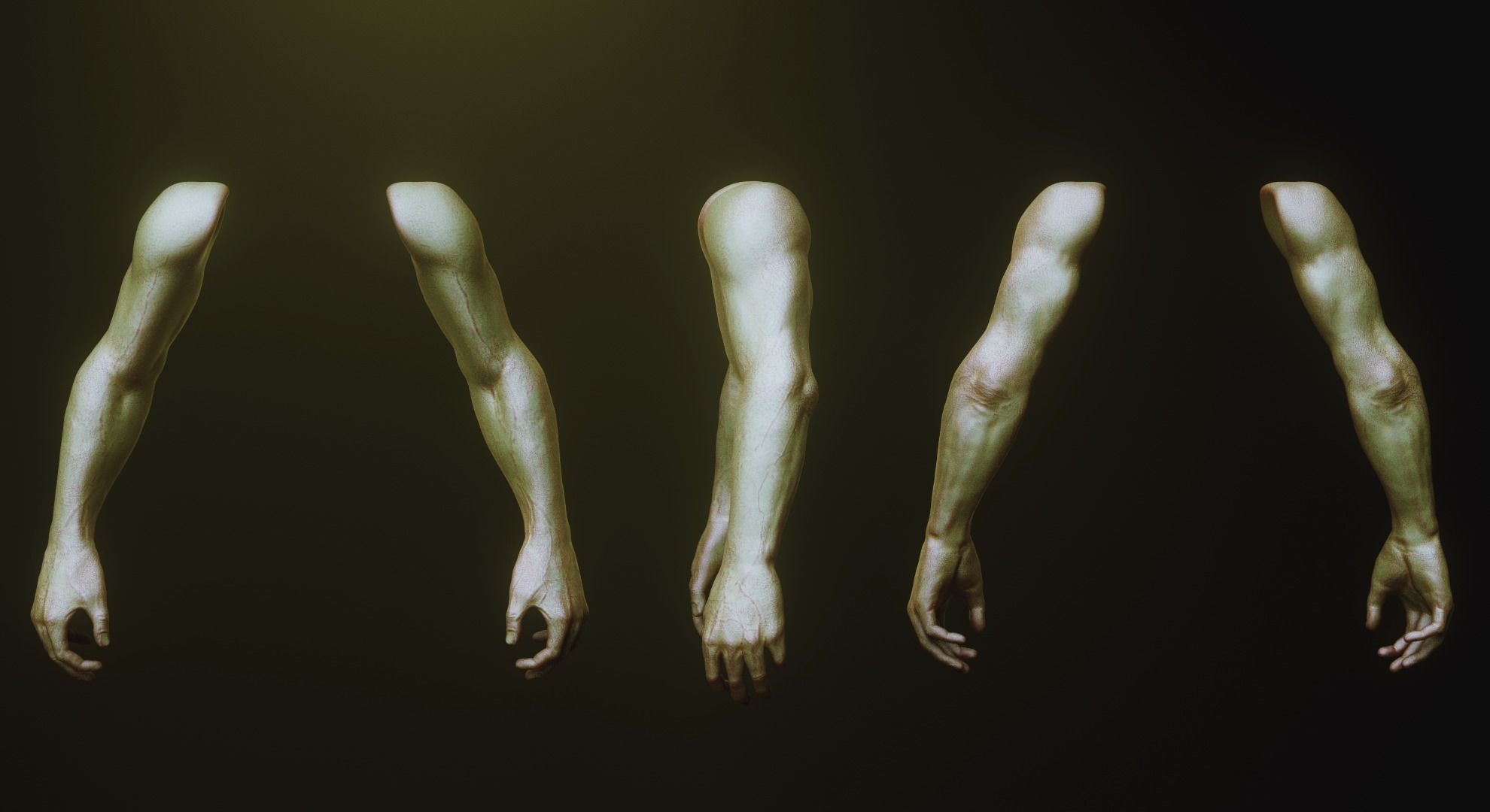 ARMS - 33 Creature arms OBJs and Zbrush IMM 3D model | CGTrader