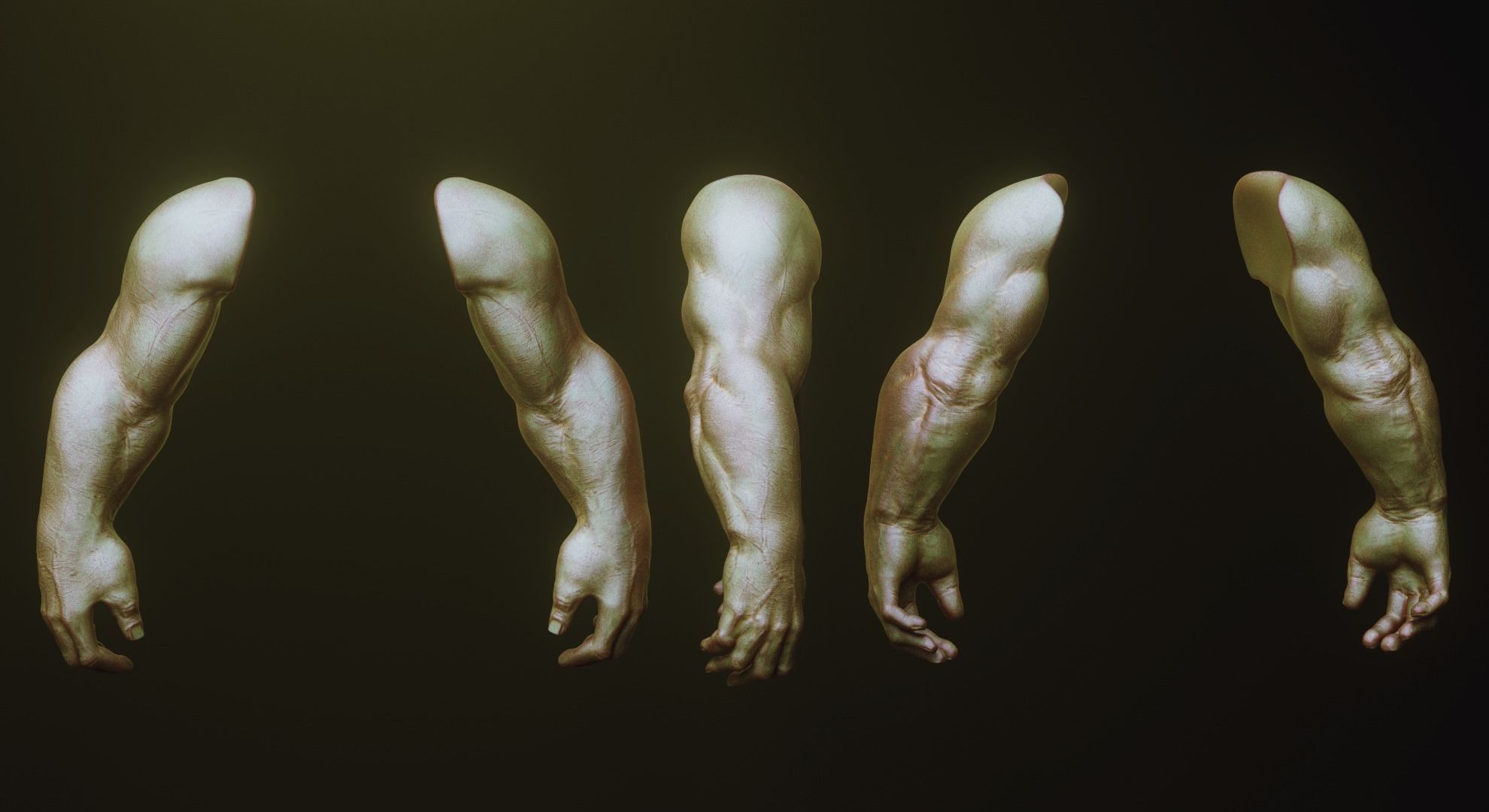 ARMS - 33 Creature arms OBJs and Zbrush IMM 3D model | CGTrader