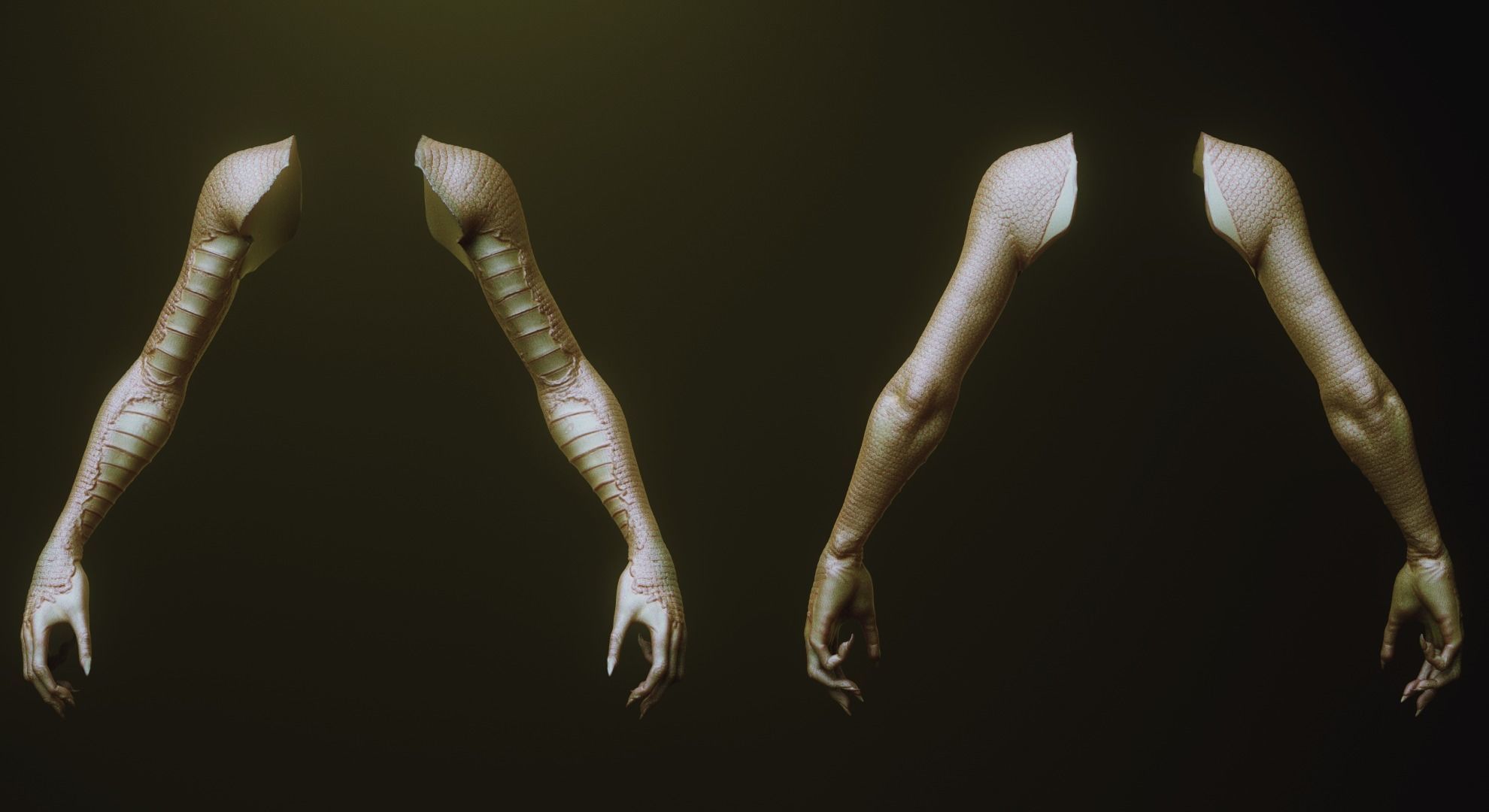 ARMS - 33 Creature arms OBJs and Zbrush IMM 3D model | CGTrader