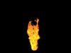 3D Fire animation 3D model animated | CGTrader