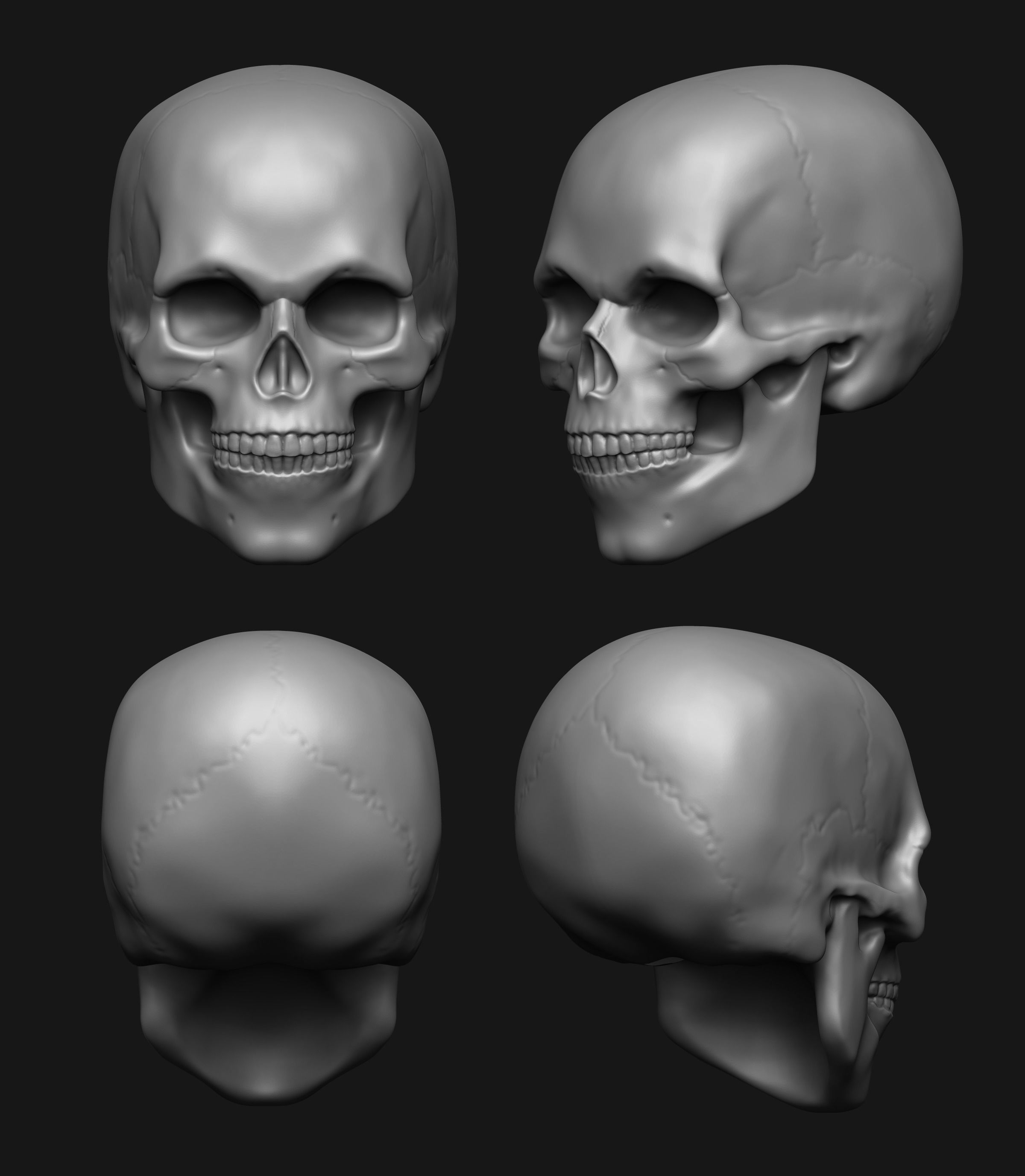 Understanding the skull - pack 3D model 3D printable | CGTrader