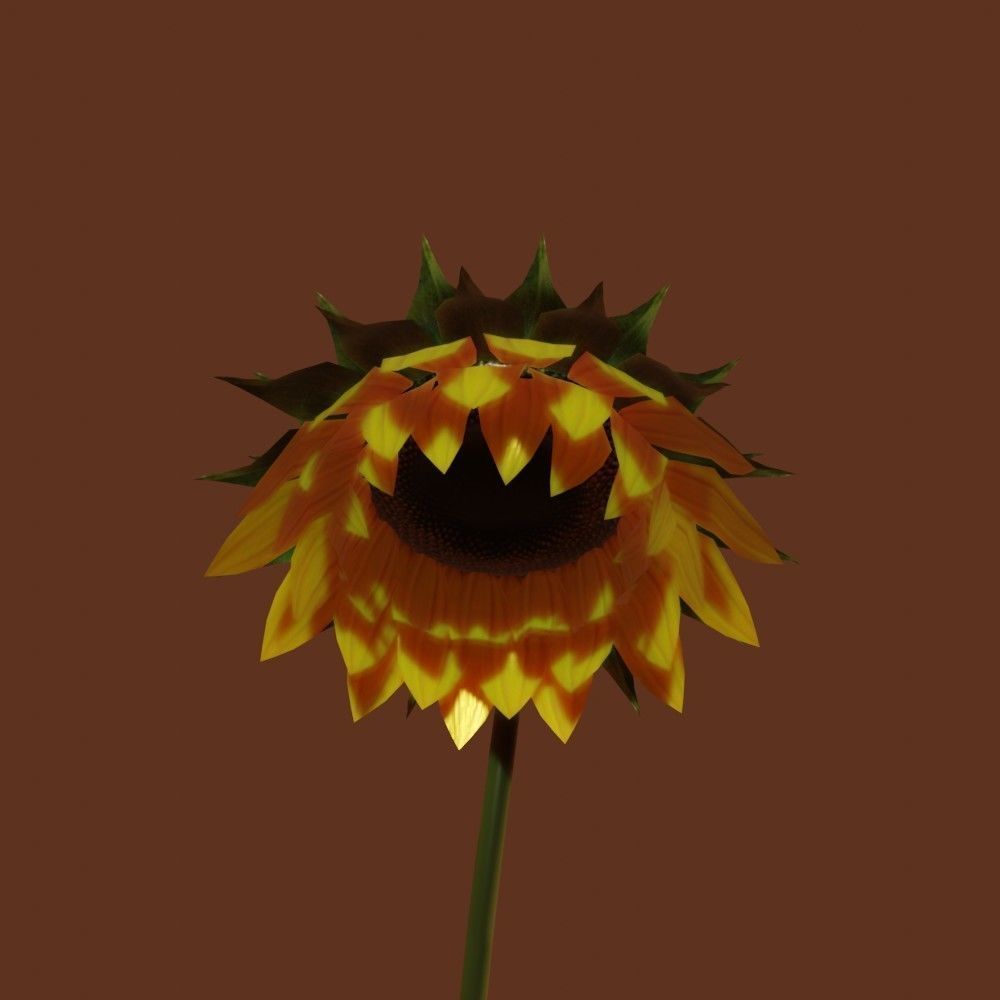sunflower 3D model animated rigged | CGTrader